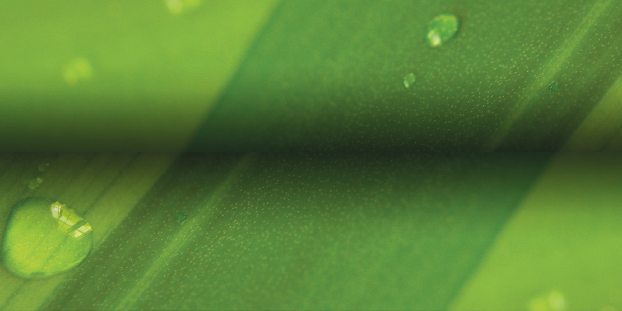 Trust Phynox to deliver in clinical and corrosive settings - Alloy Wire ...